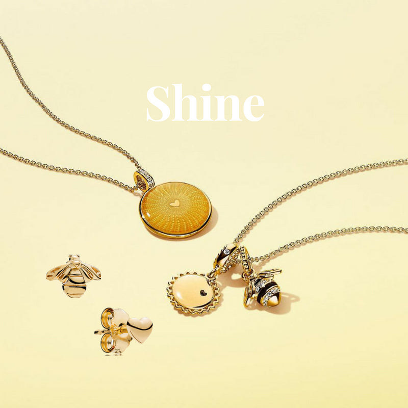 Shine - Seven Season